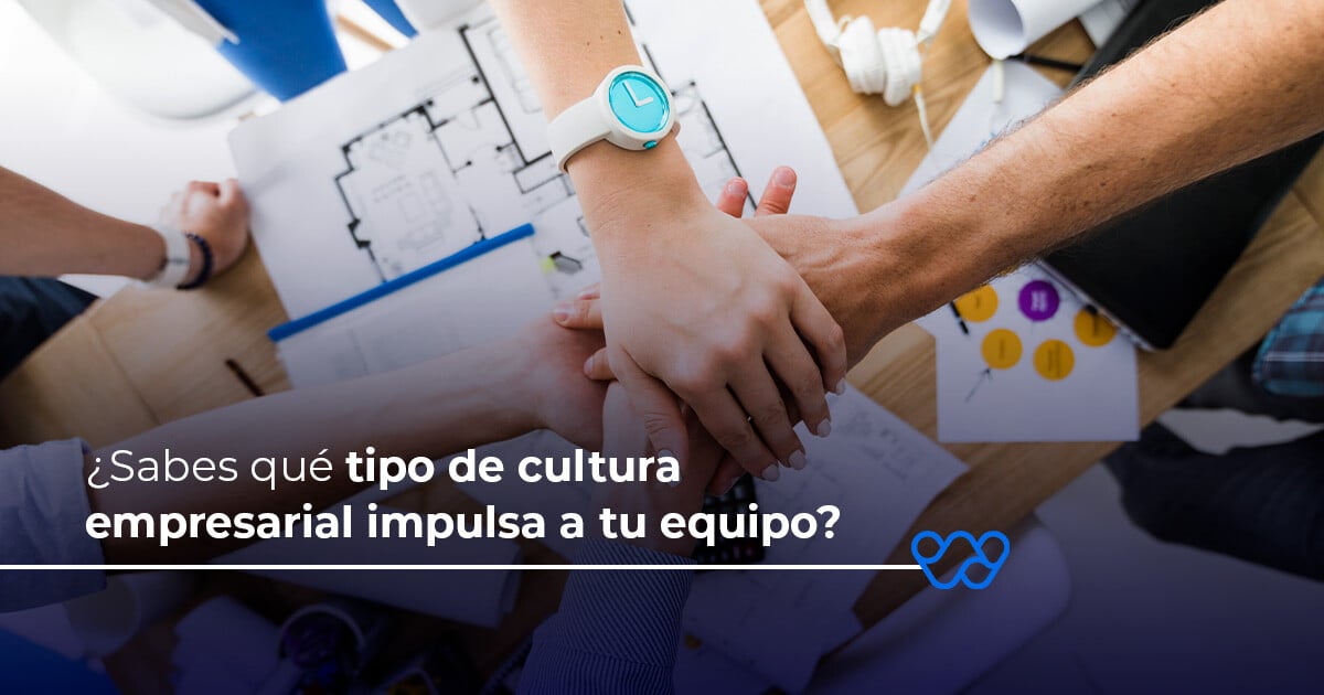 Tipos de cultura empresarial y su importancia | Widú Legal